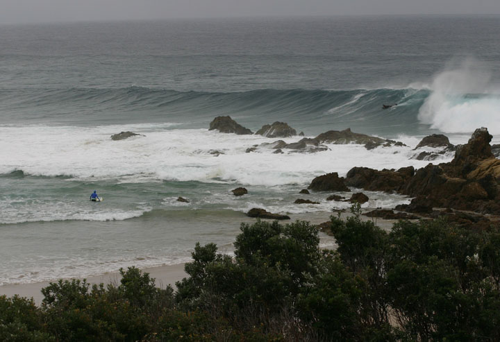 what I heard, about george greenough | petebowes.com