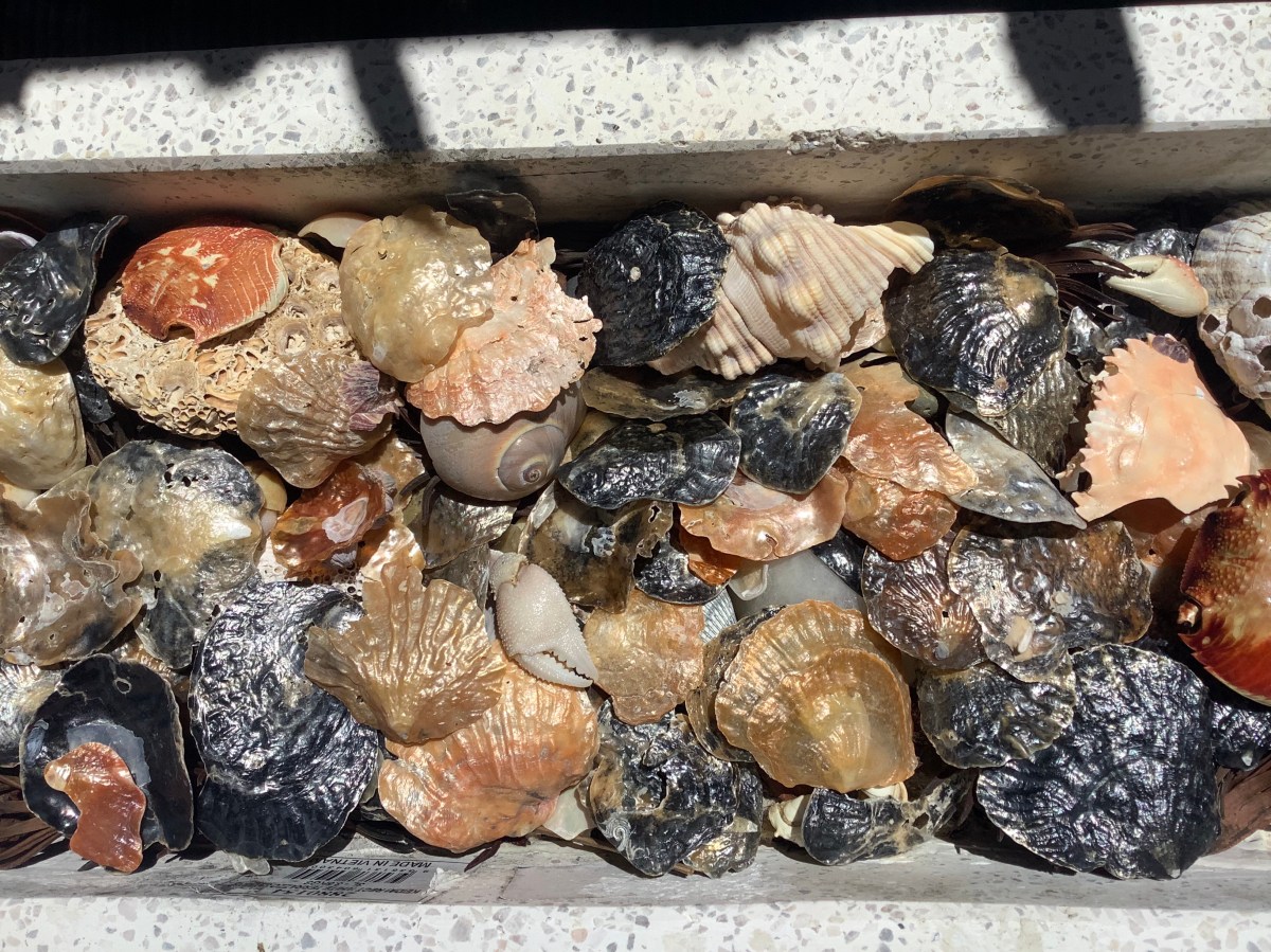 beach grit | petebowes.com