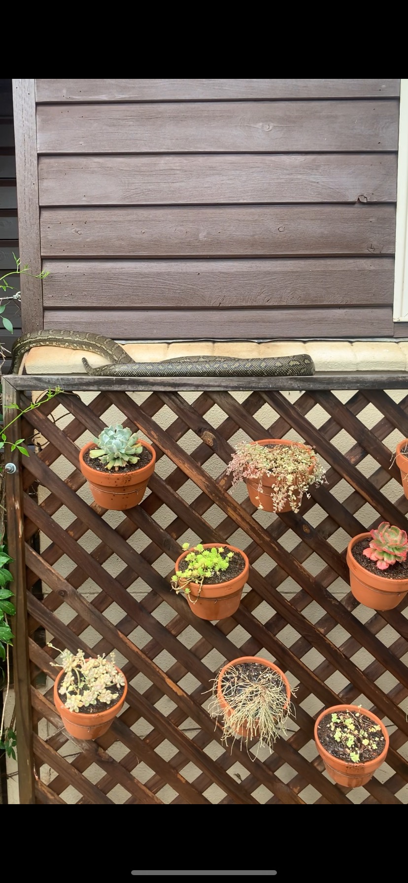 selling the farm | petebowes.com