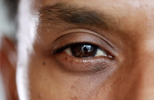 rafael, his day … | petebowes.com