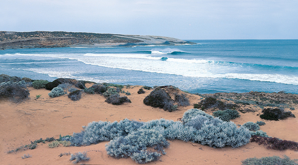 Choice | petebowes.com